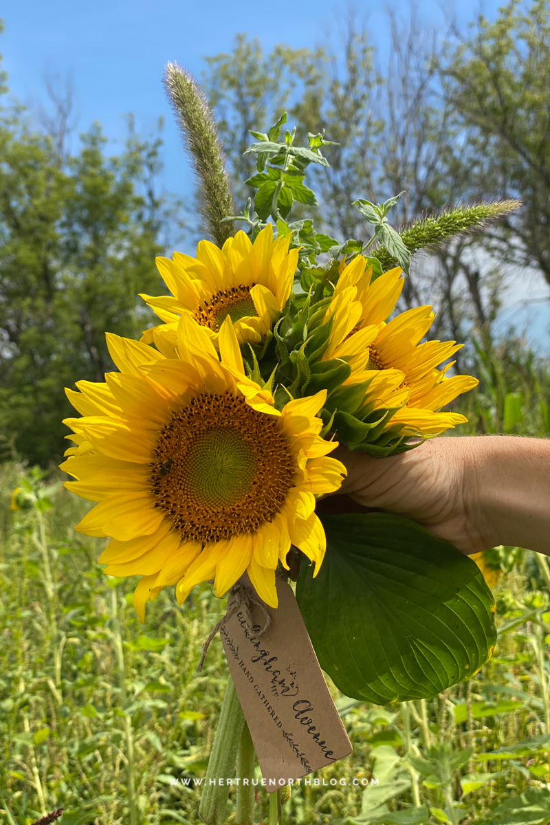 Sunflower season - 3 tips for arranging a beautiful sunflower bouquet